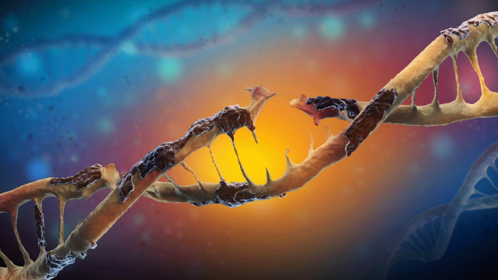 DNA Repair Can Help Patients During Chemotherapy - StaffIcons